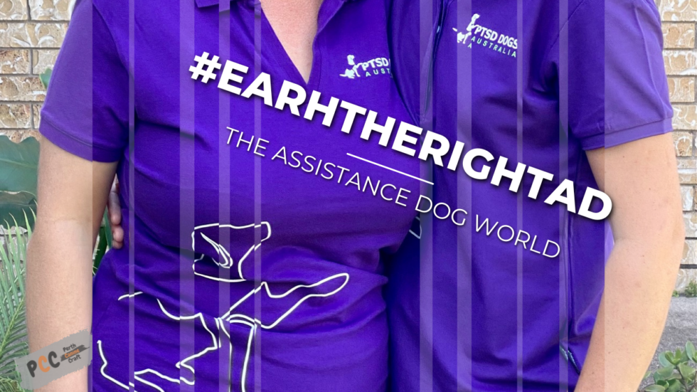 The Power of a Trusted Spotter in Dog Training: Gaining Perspective ...