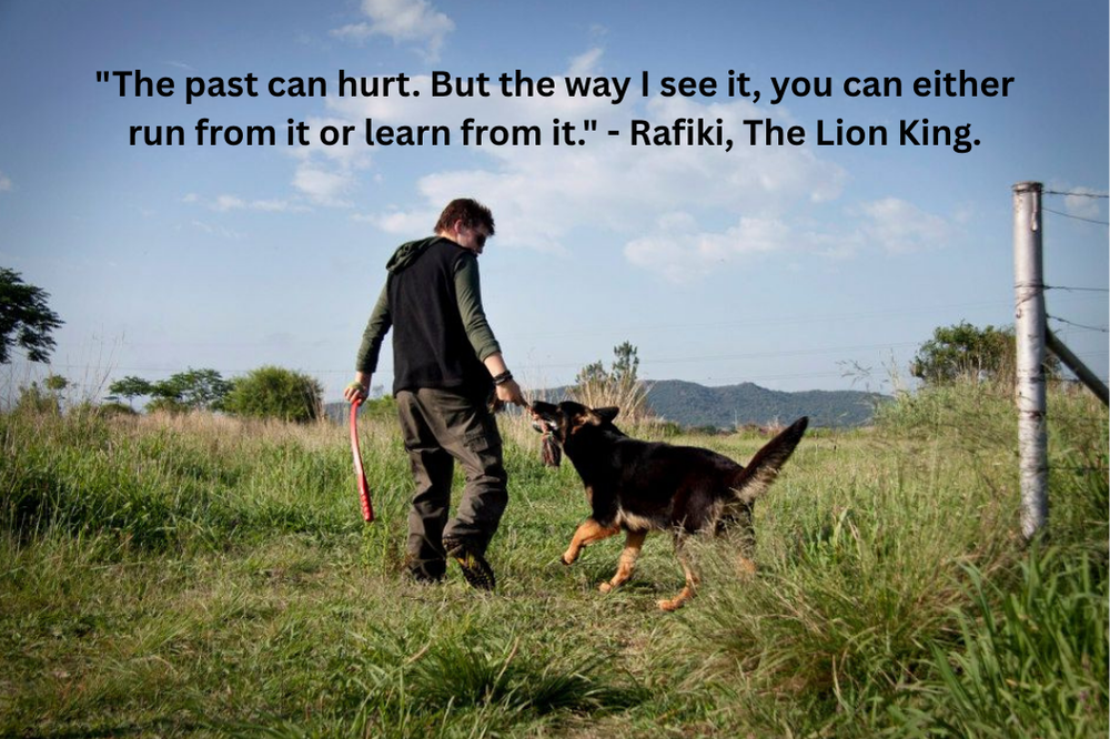 A Blueprint for Dog Training: Polyvagal Theory and the Layered Stress ...