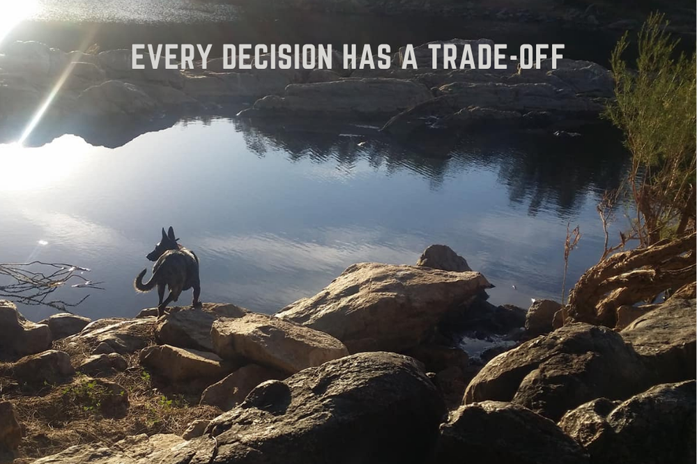 A Blueprint for Dog Training: Polyvagal Theory and the Layered Stress ...